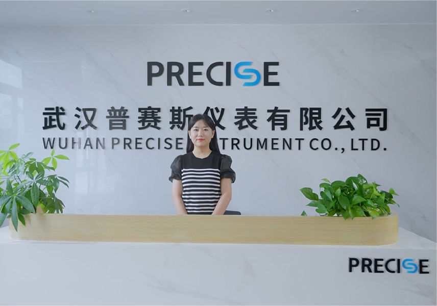 Wuhan Precise Instrument Co., Ltd.